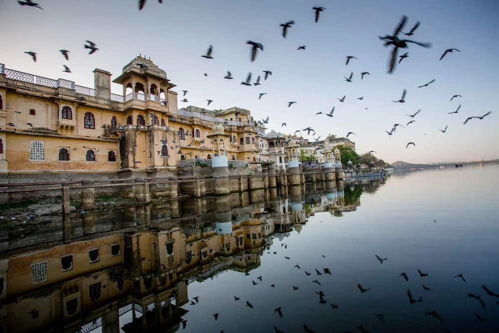 Breakup Therapy — SARAH GUNDLE, PSY.D.