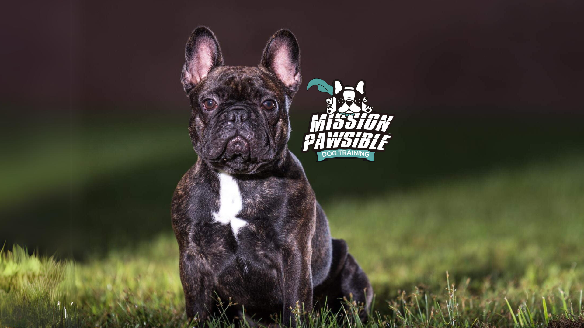 Mission Pawsible | Pittsburgh Dog Training