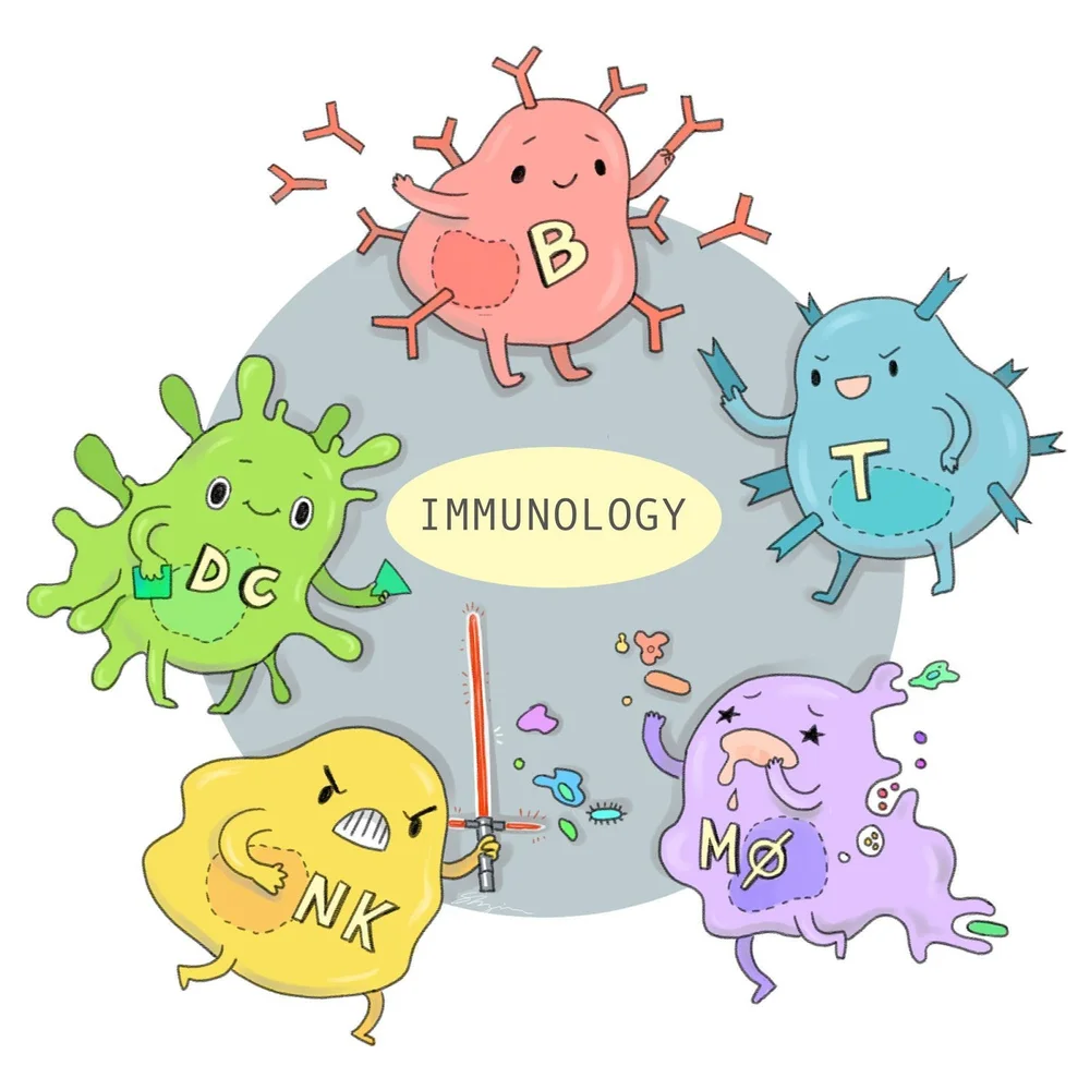 Regional Immunology Service Northern Ireland