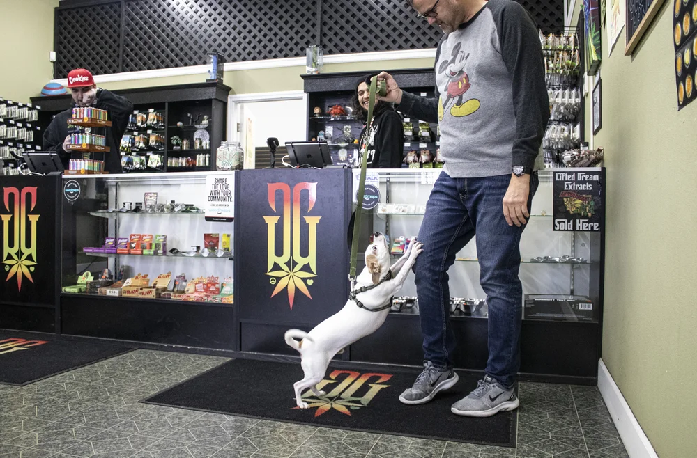 Gypsy Greens: Premium Cannabis Products for a Unique Experience