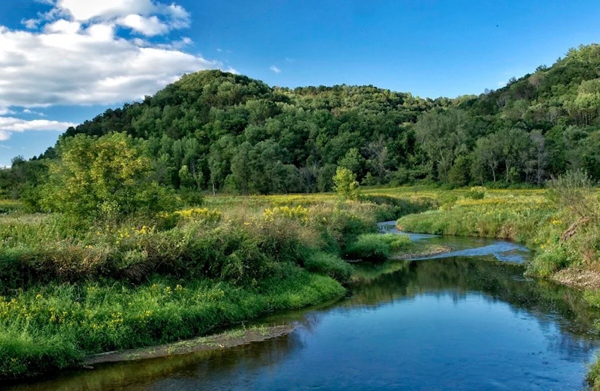 The Driftless — Driftless Folk School