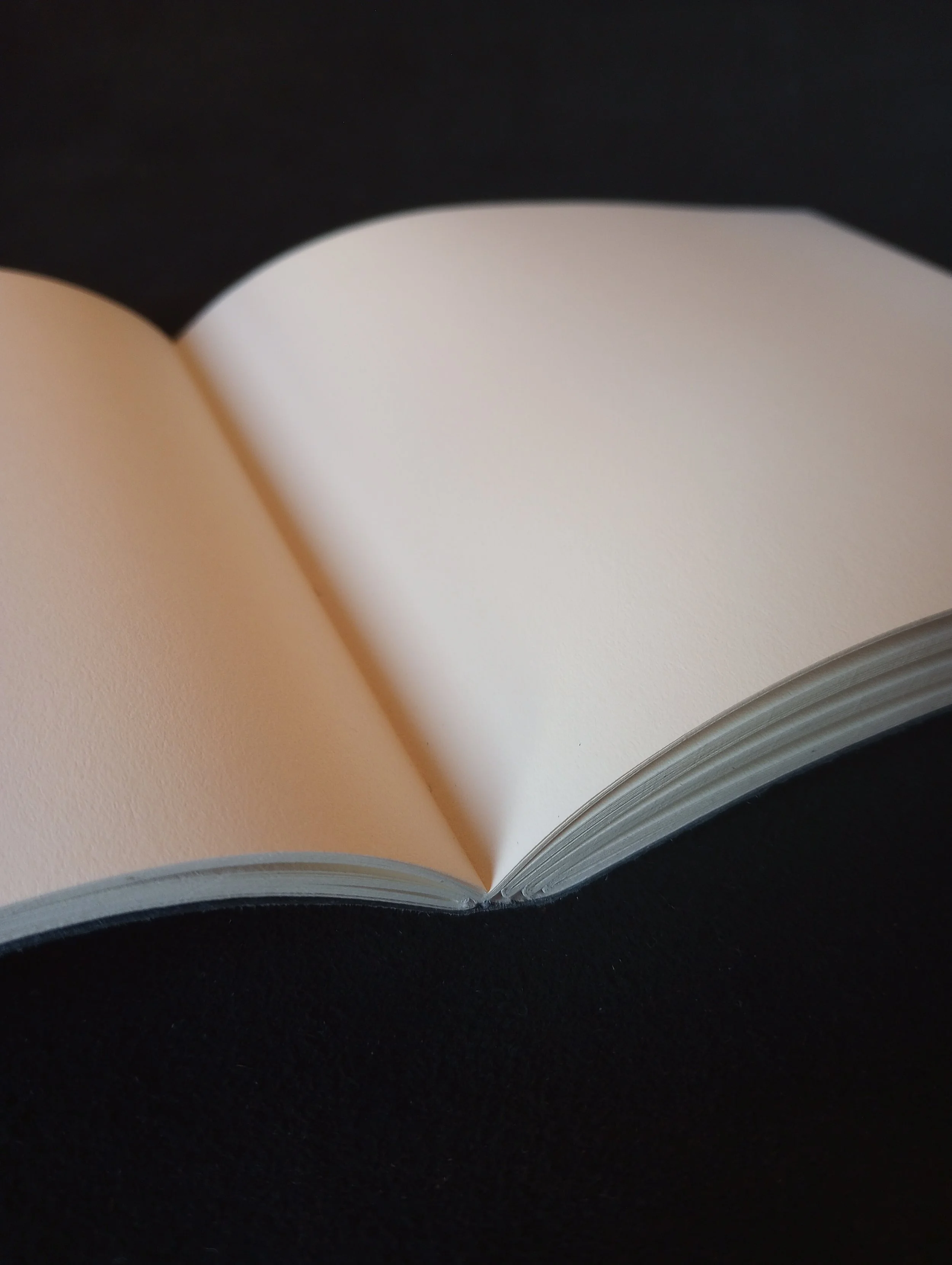 Long-stitch Bookbinding: the Medieval Paperback, with Anneka Baird ...