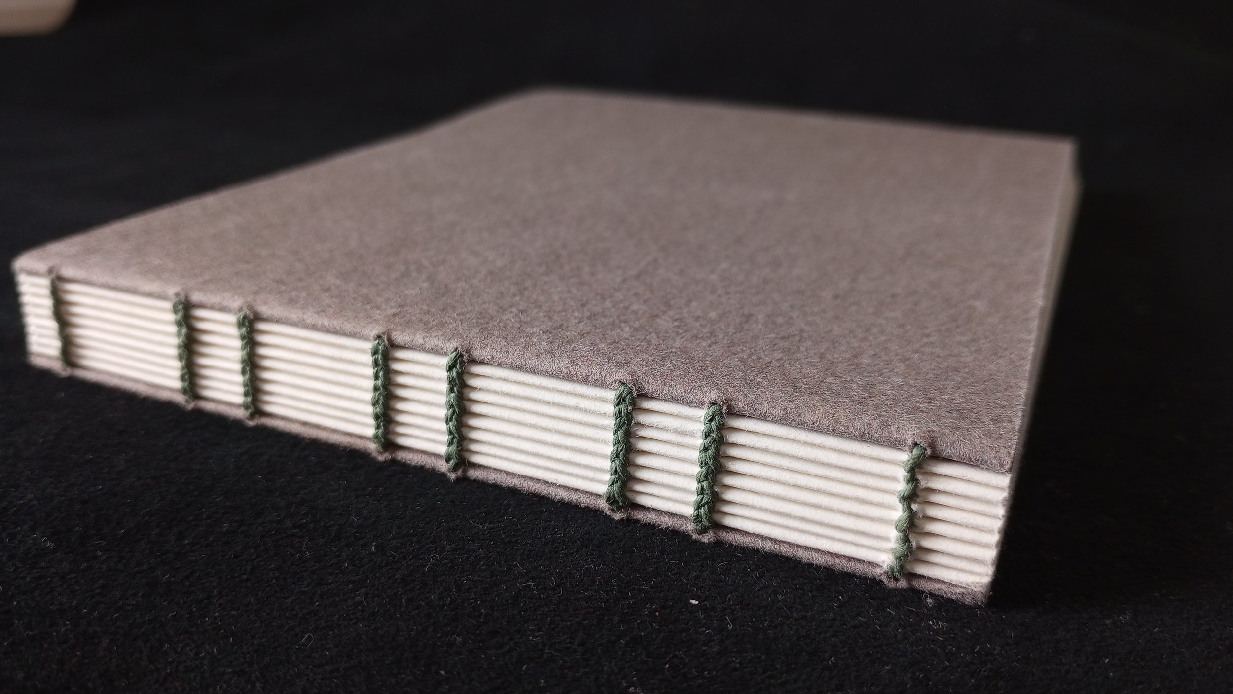 Coptic Bookbinding: the Original Codex (at the Ridges & Rivers Book Festival), with Anneka Baird ...