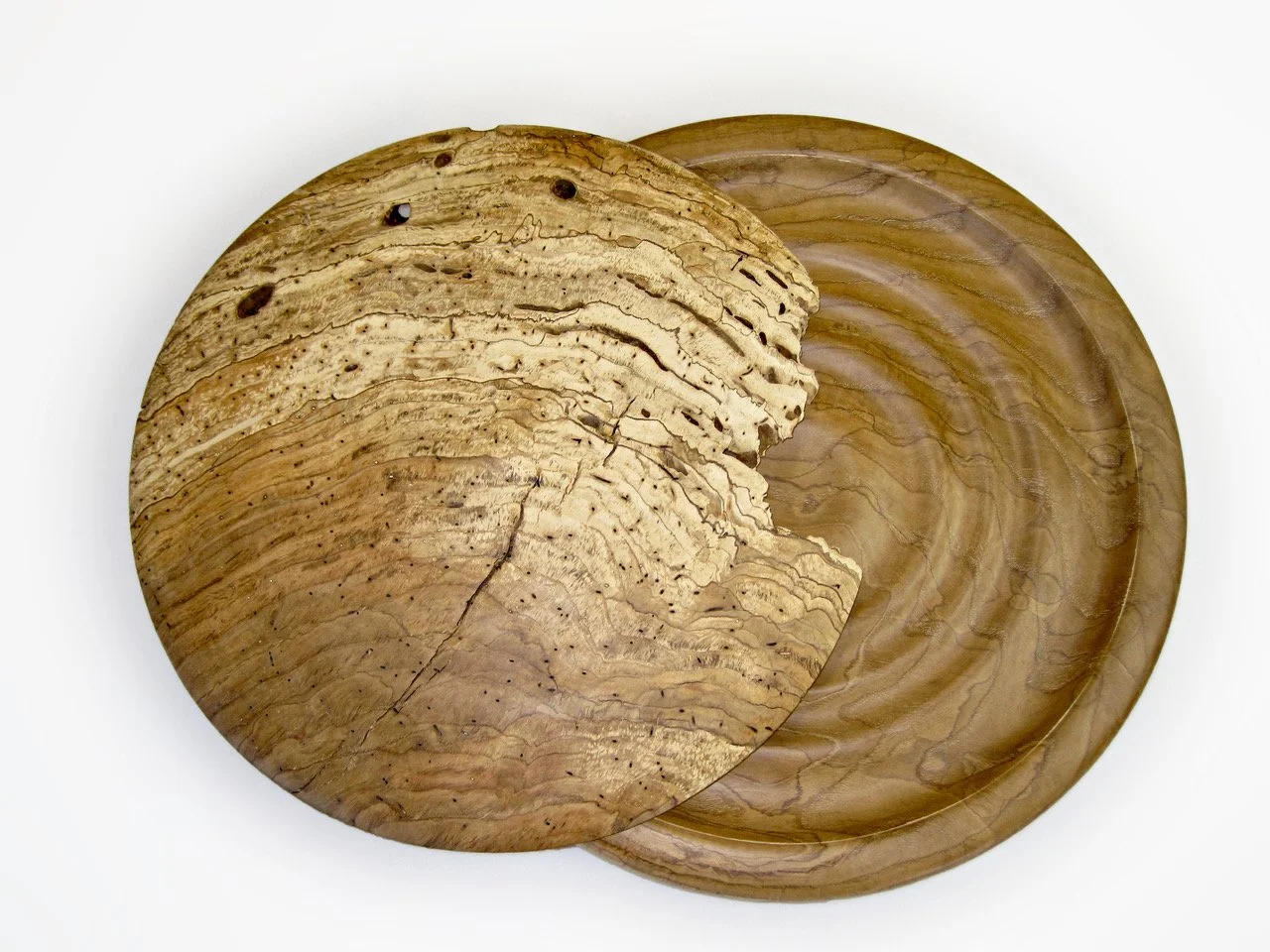 Introduction to Spalted Wood (ONLINE), with Dr. Seri Robinson ...