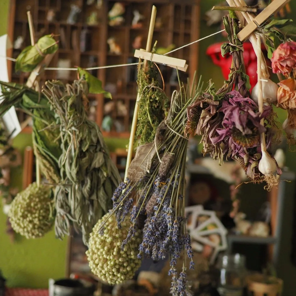 Herbal Floral Remedies: Incorporating Flower Essences, with Kayle ...
