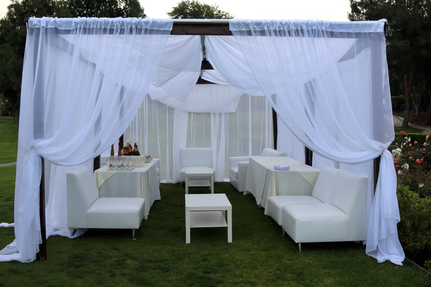 Gallery — Anabi Oil