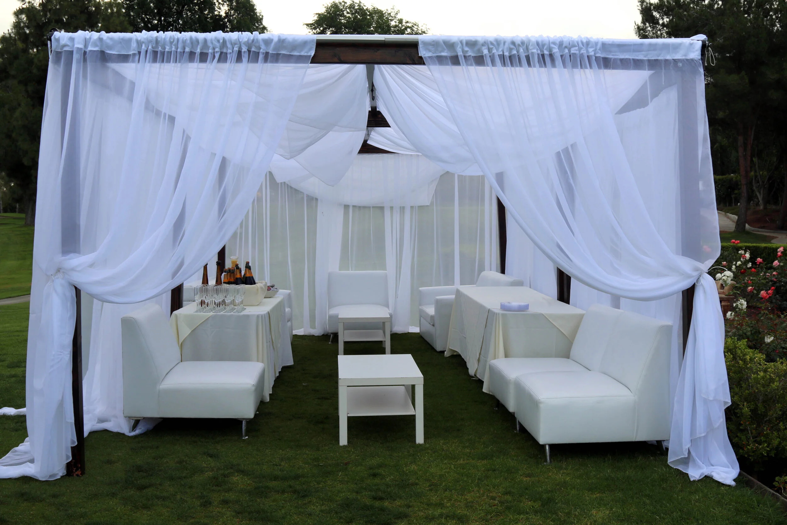 Gallery — Anabi Oil