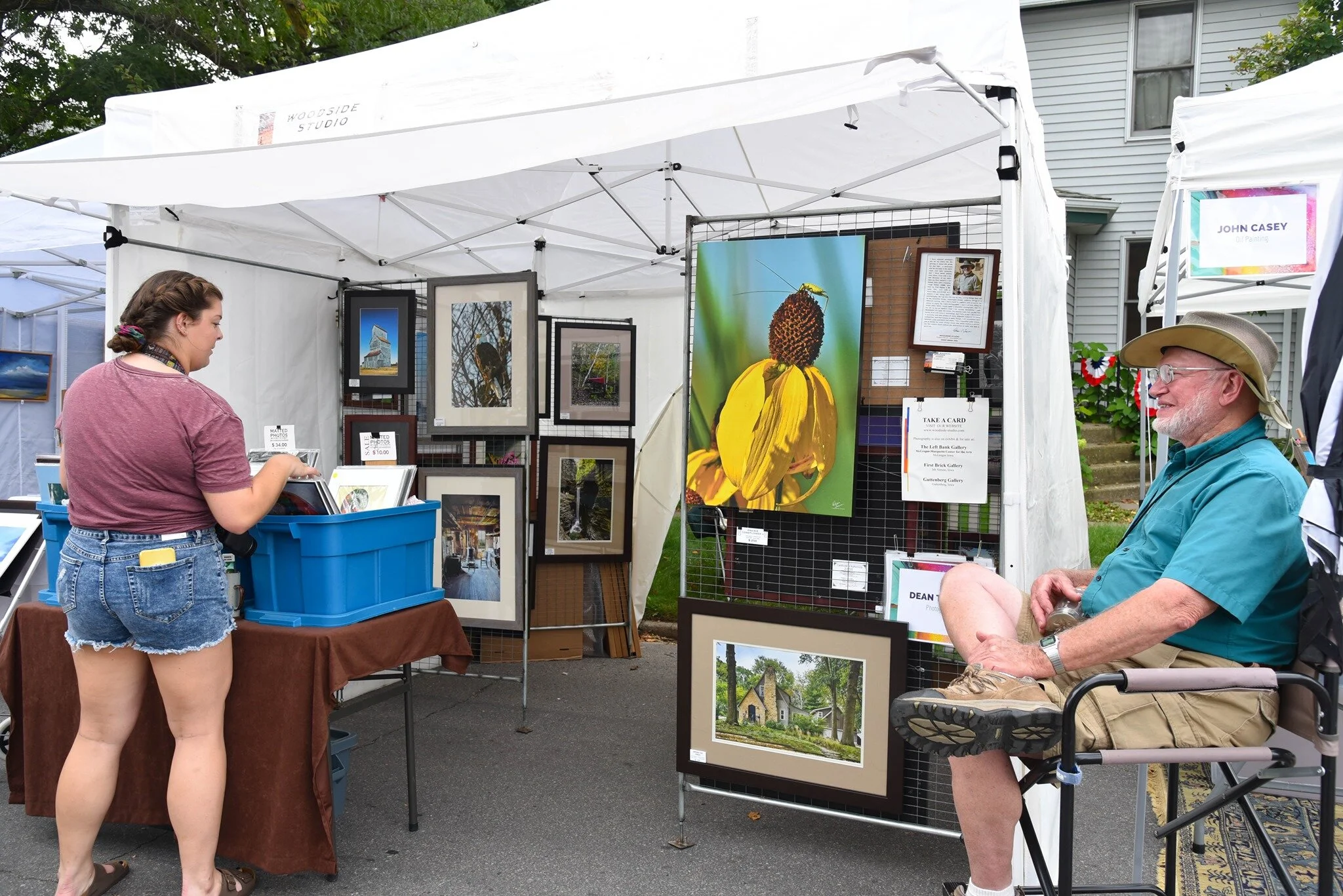 Mount Vernon Area Arts Council