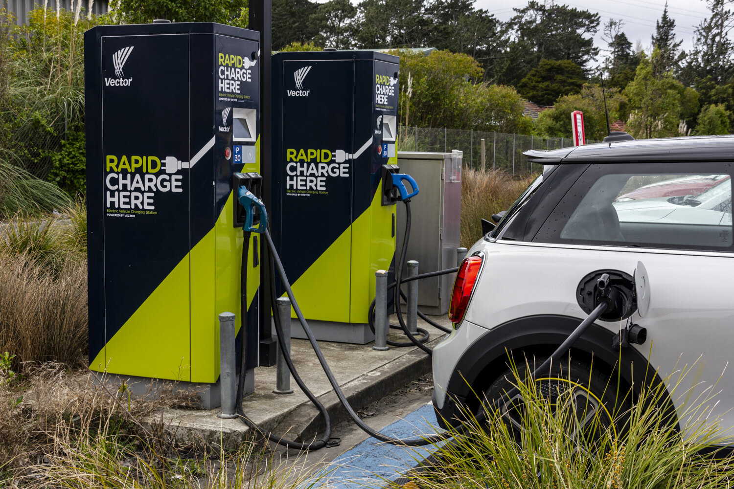 Mighty Mini is a major EV player in NZ — AutoMuse