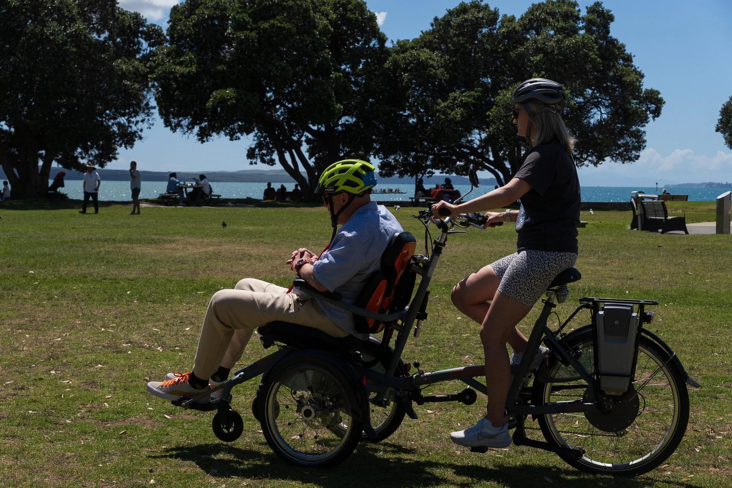 wheelchair e-bikes now available in NZ — AutoMuse