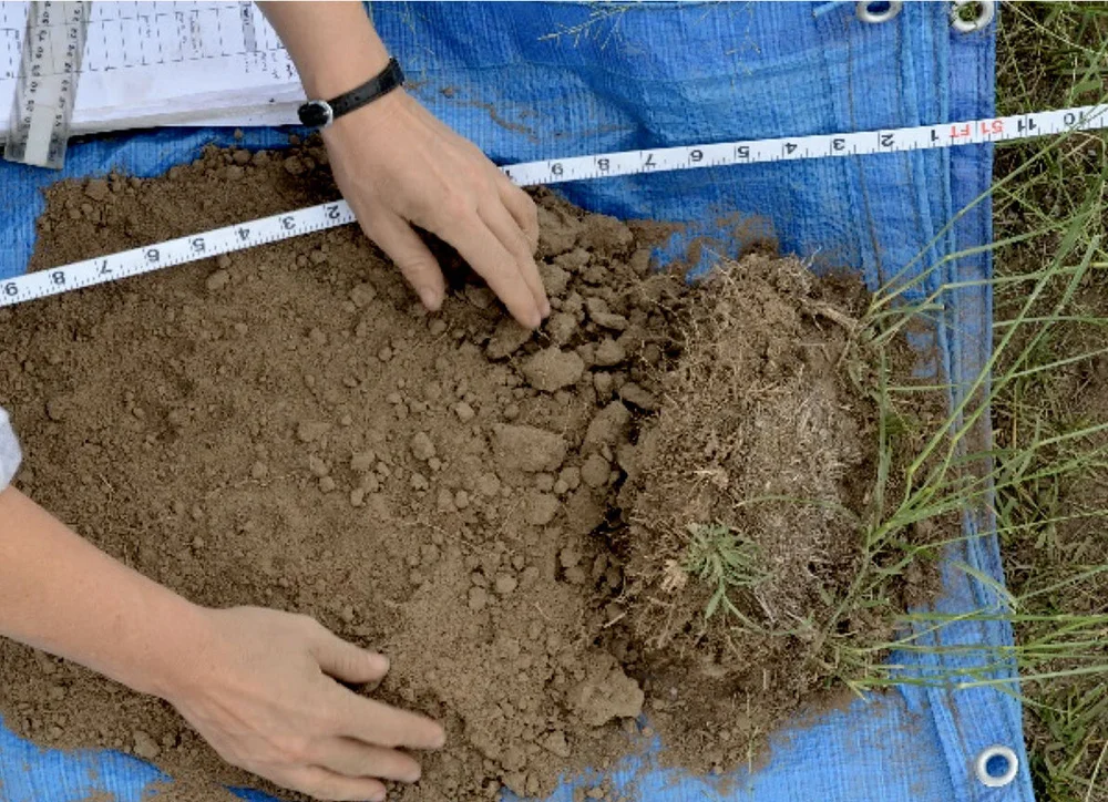 The Importance of Observation and Monitoring. — Balala Station