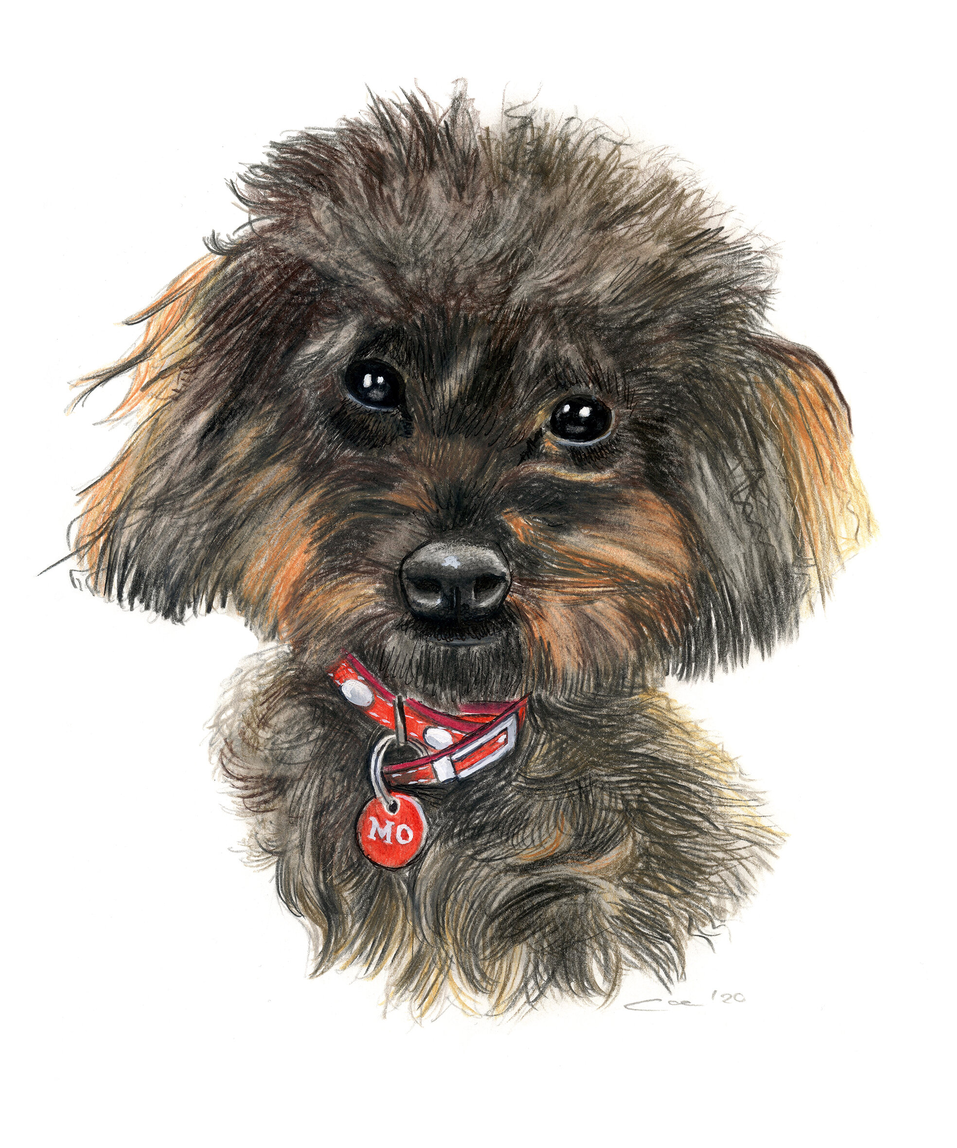 Illustration — Cave Design