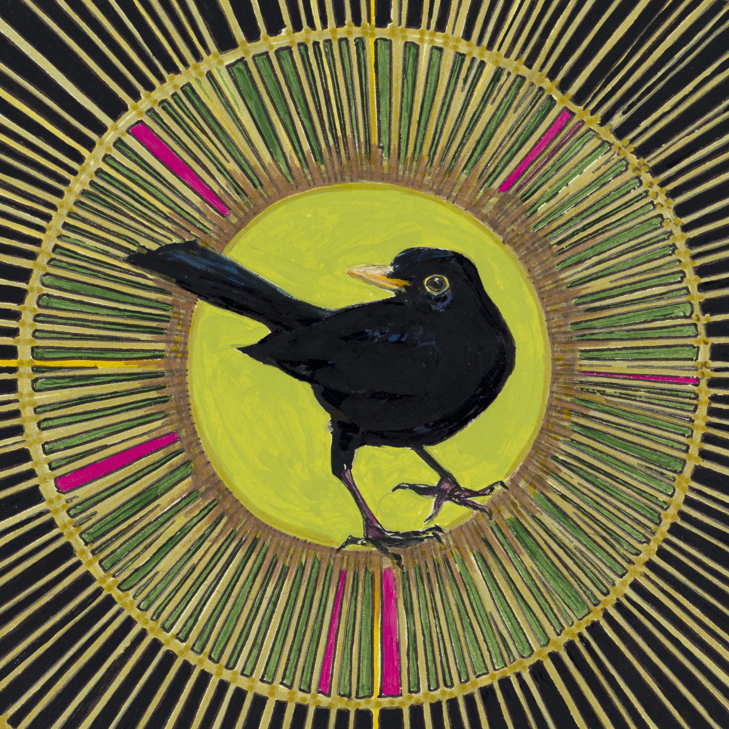 Shop — Jacqueline Newman