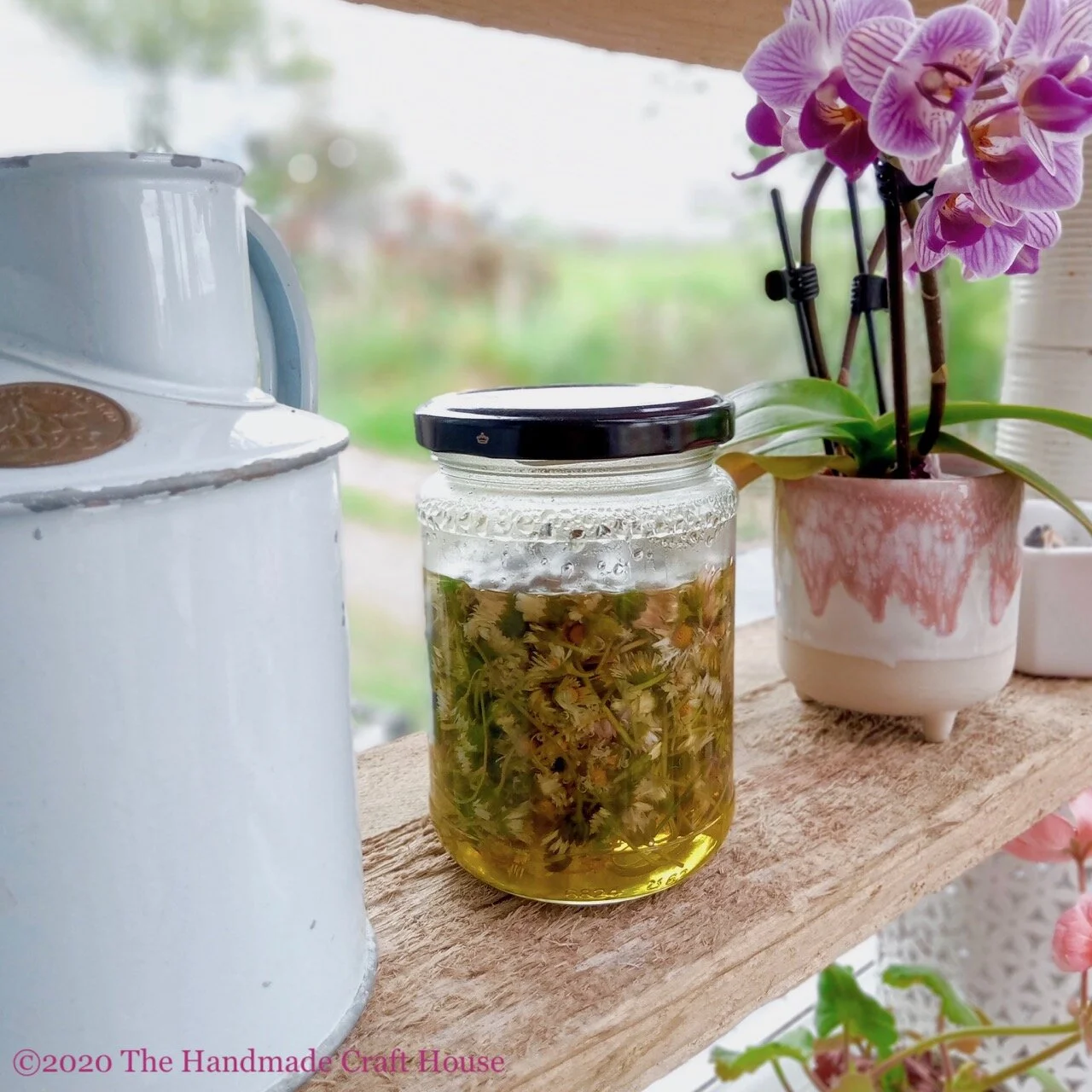 Home made Daisy Bruise Balm — Handmade Craft House