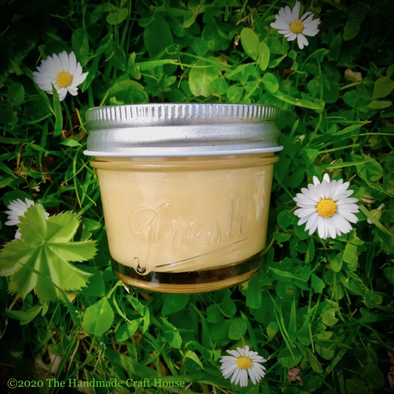Home made Daisy Bruise Balm — Handmade Craft House