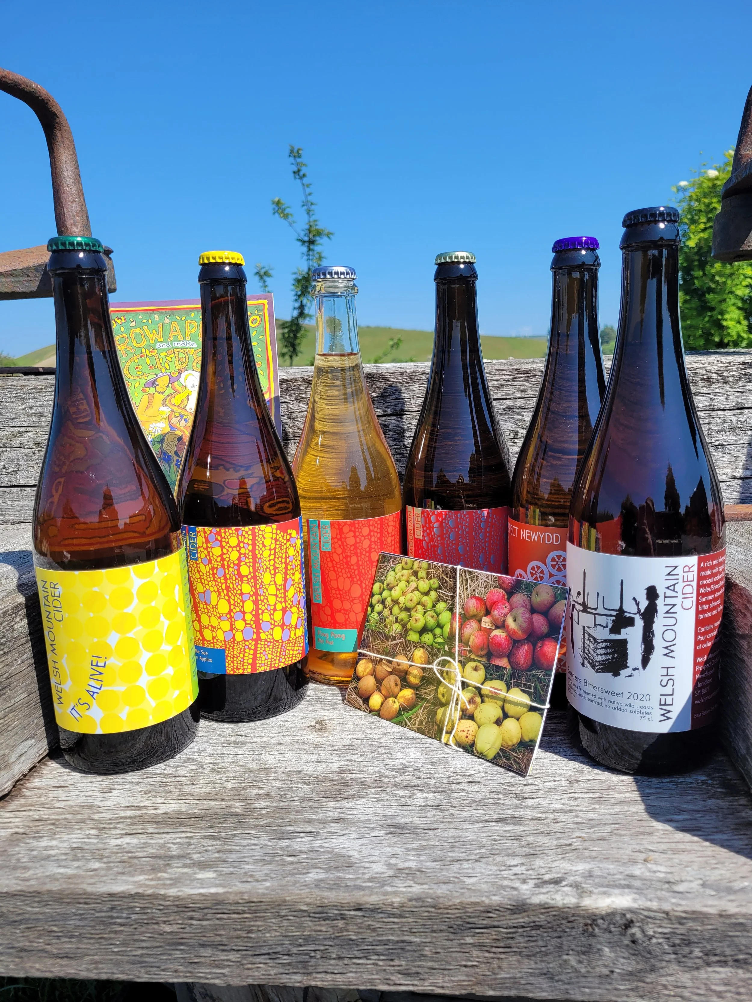 Cider Shop — Welsh Mountain Cider