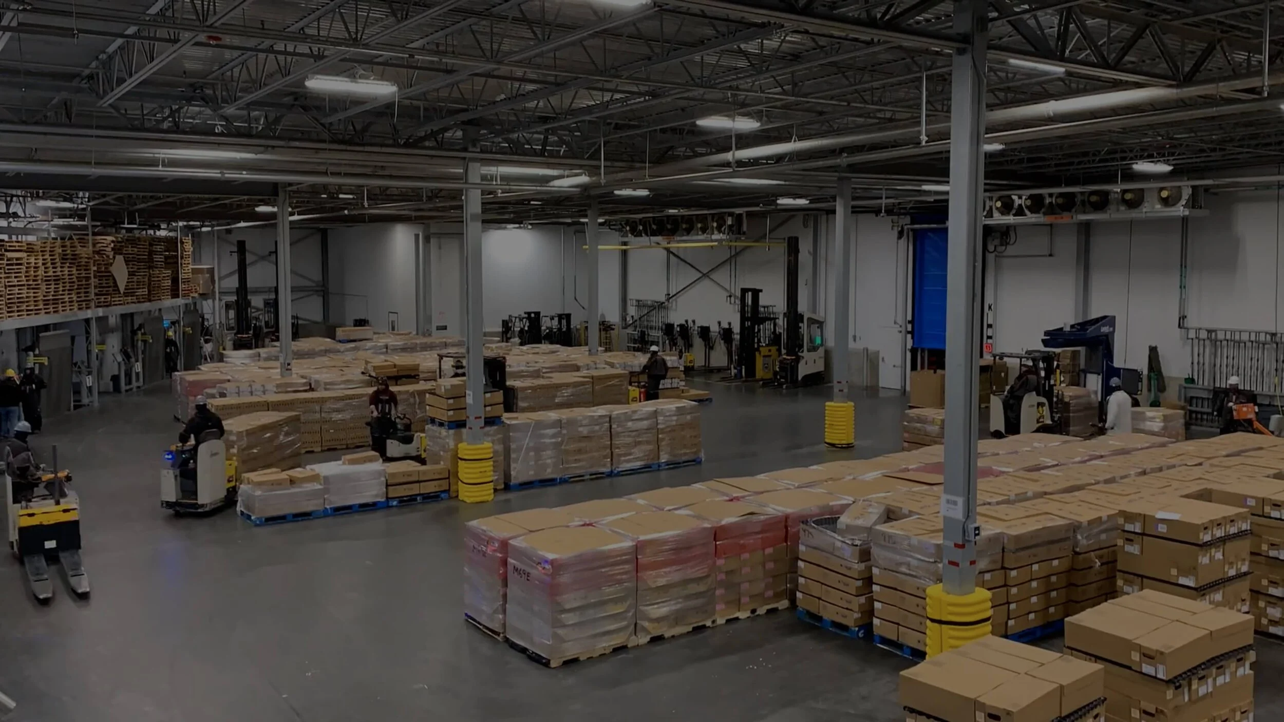 The World Group Cold Logistics Network