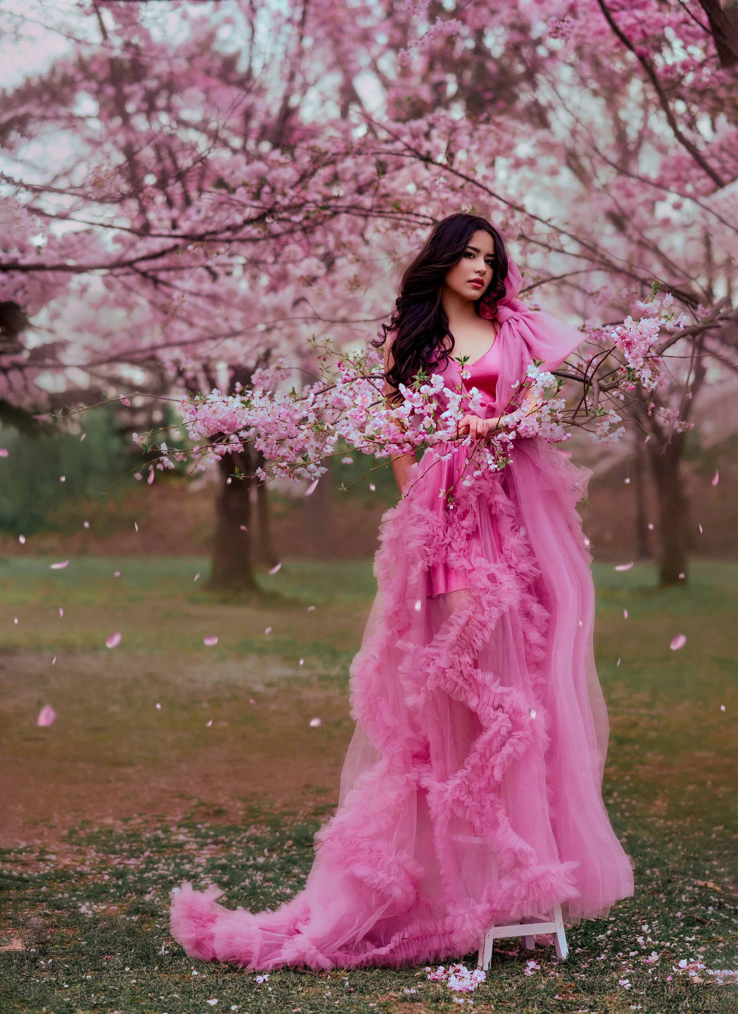 Ambar Jimenez Photography