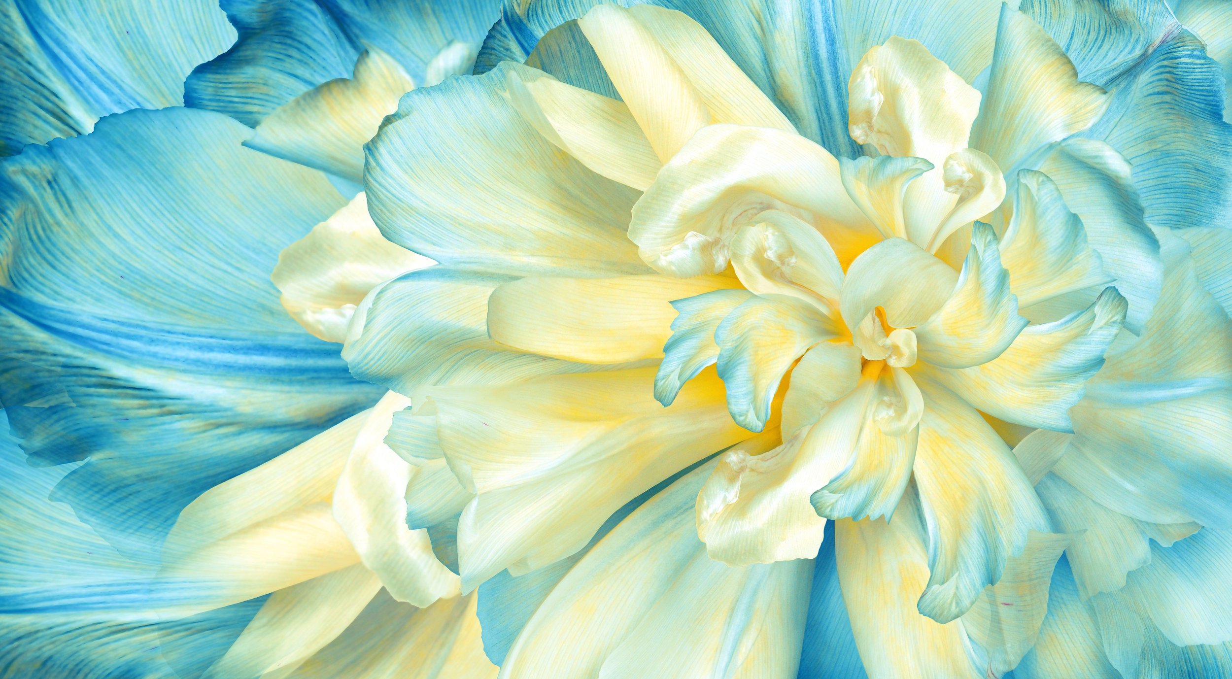 When Should You Give an INFJ Space? — Questions and Tisane