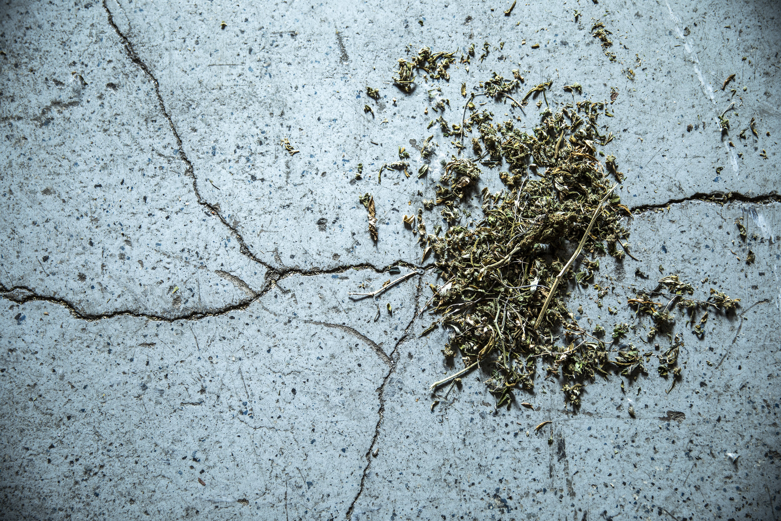 VZ-TEC — Industrial Hemp Equipment