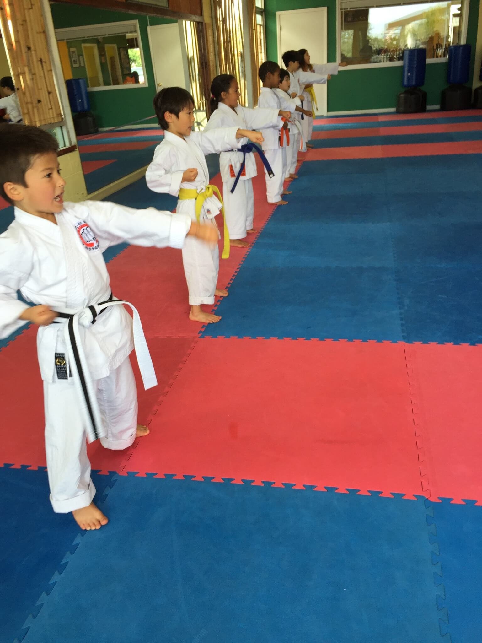 Carlsbad California Karate class — Japan Karate-Do organization
