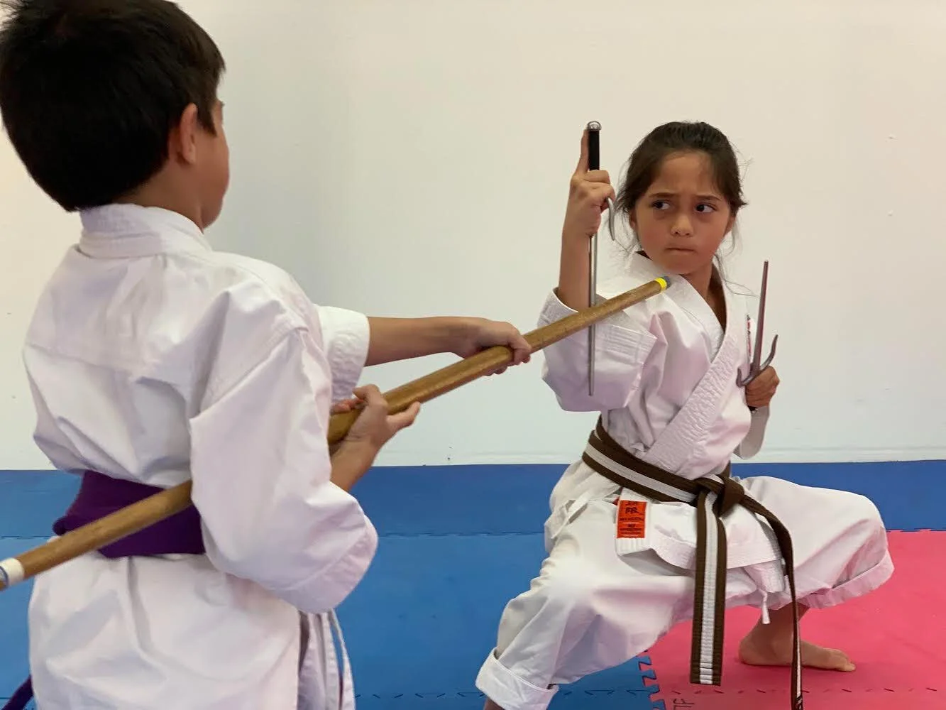 Carlsbad California Karate class — Japan Karate-Do organization