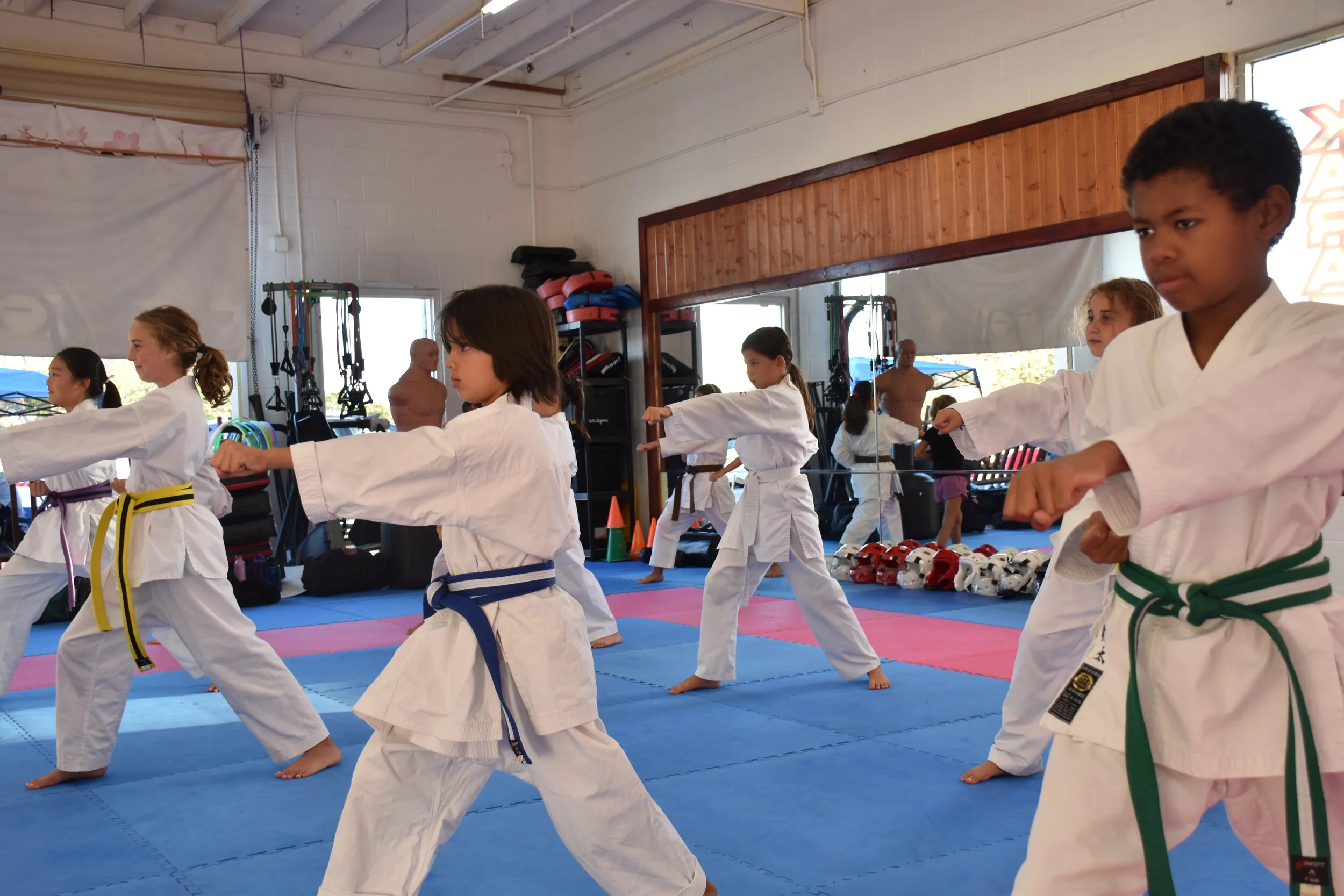 Carlsbad California Karate class — Japan Karate-Do organization