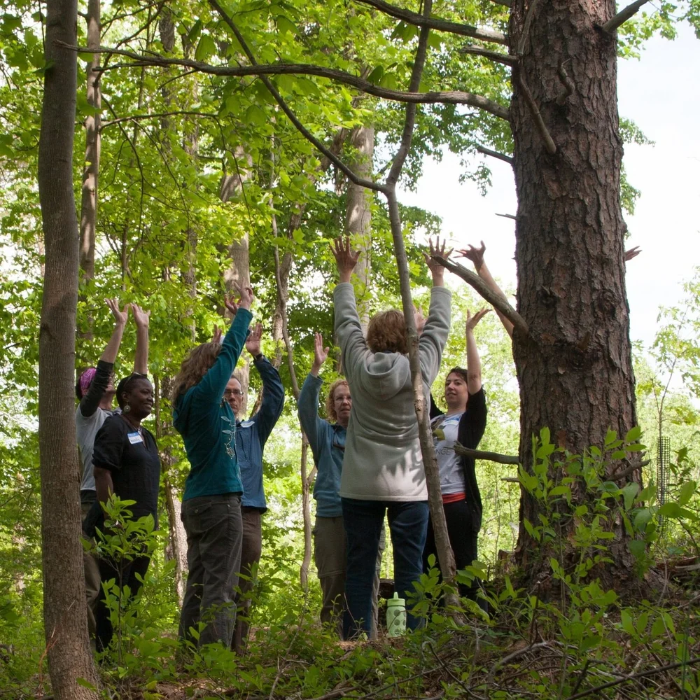 Climate Initiative — Dance Exchange