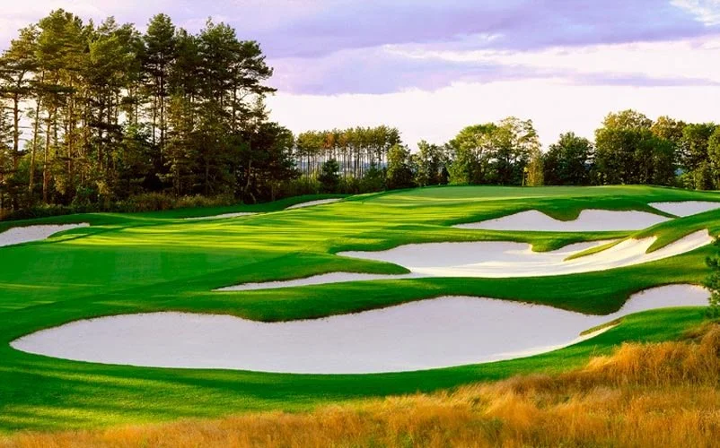 Testimonials — Performance Academy