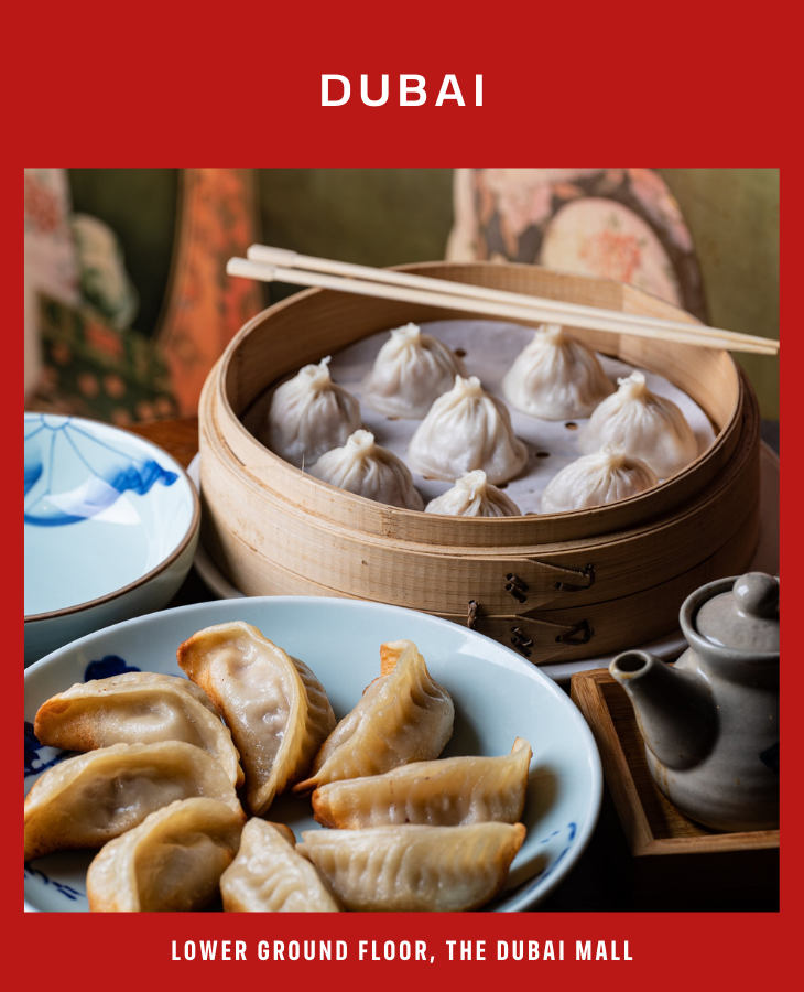 Chinese Dumpling Bar & Restaurant - New Shanghai