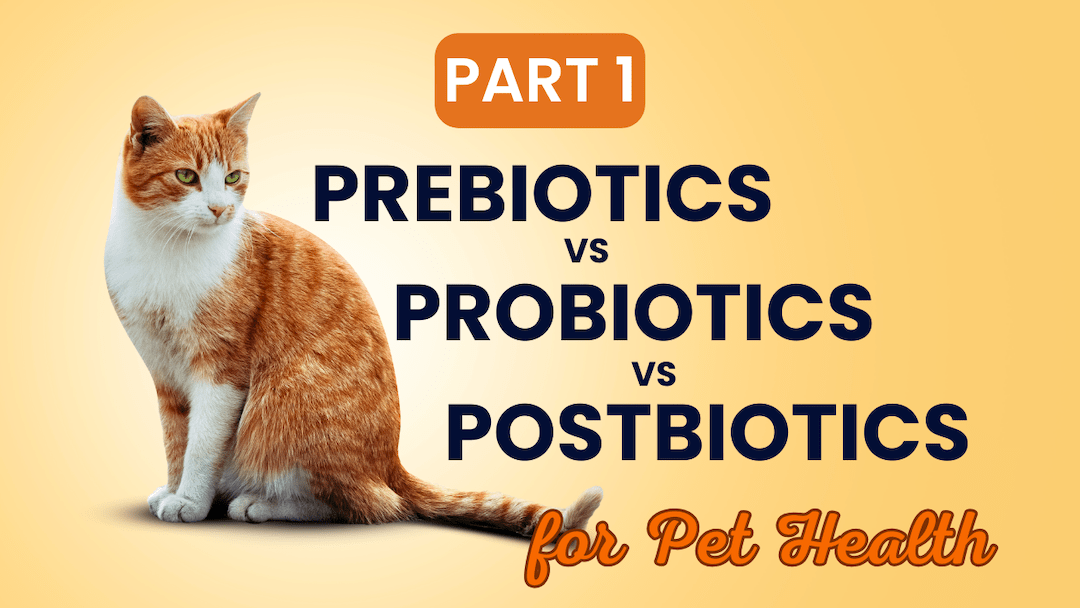 Microbiome Booster Postbiotic for Pets — Superior Feline
