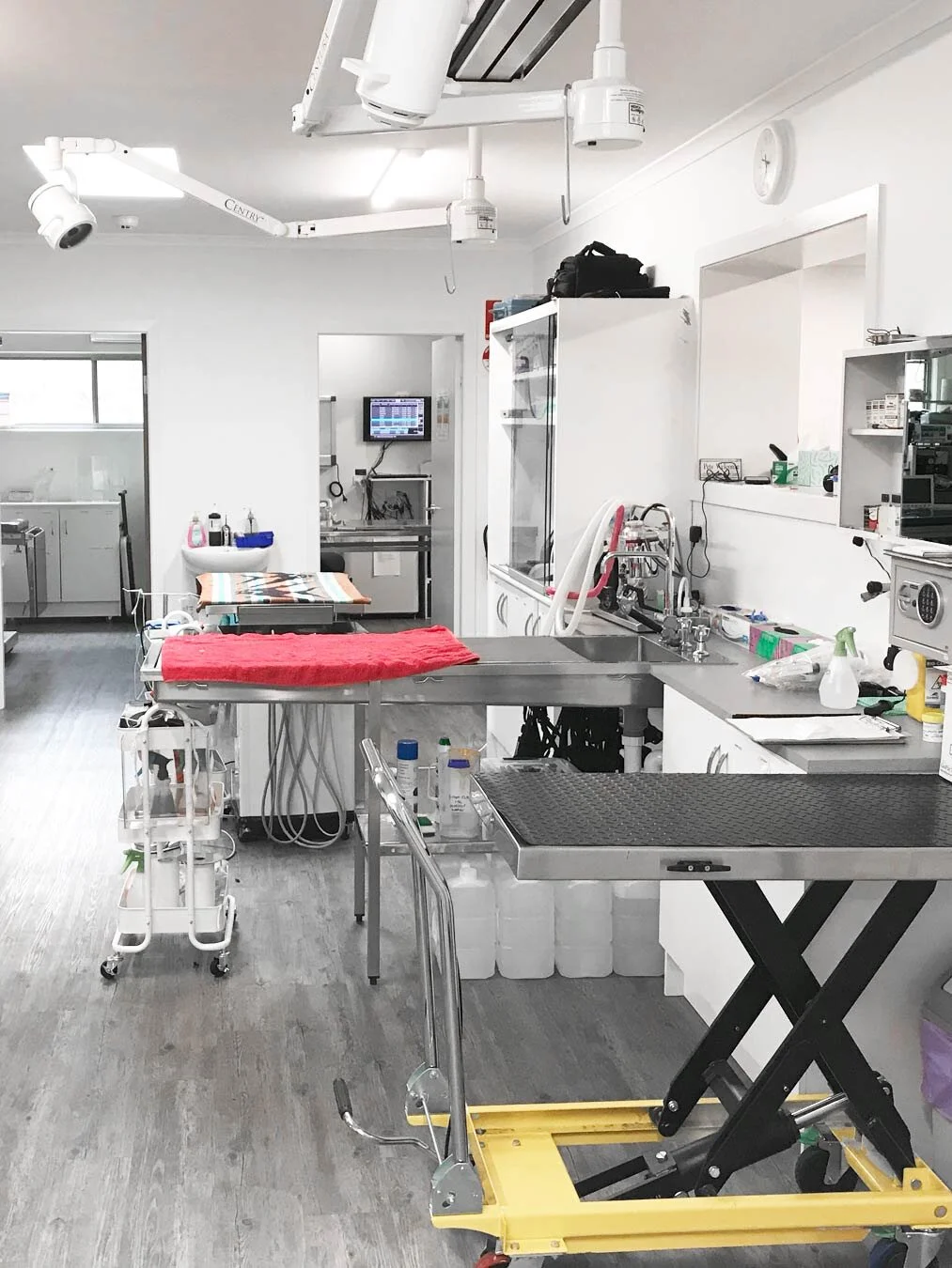 About us — Sweet Pea Animal Hospital and Rescue