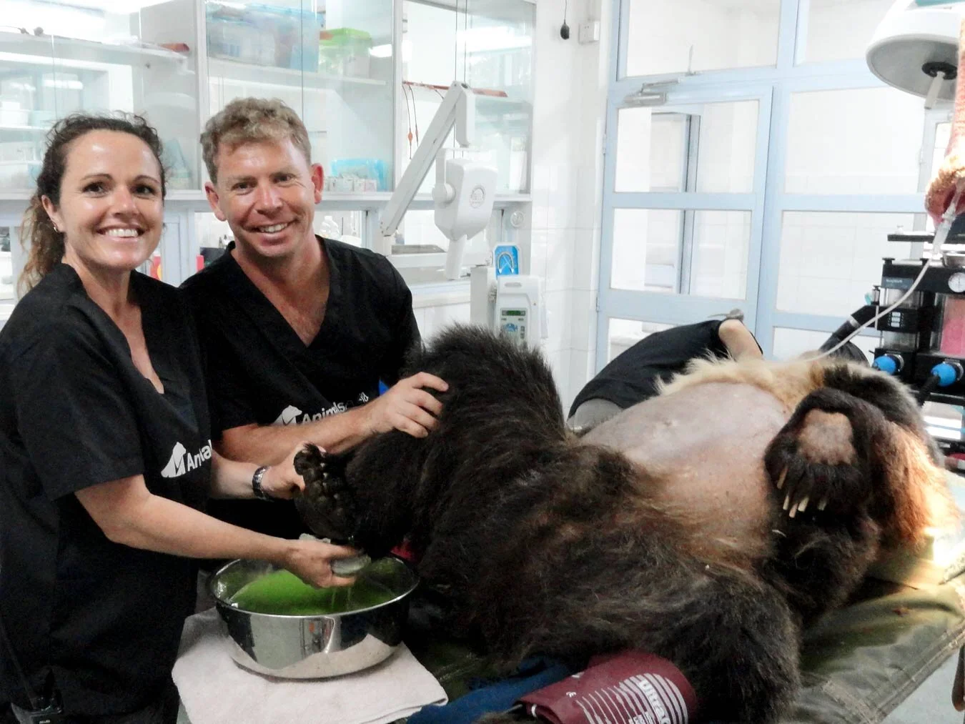 Sweet Pea Animal Hospital and Rescue