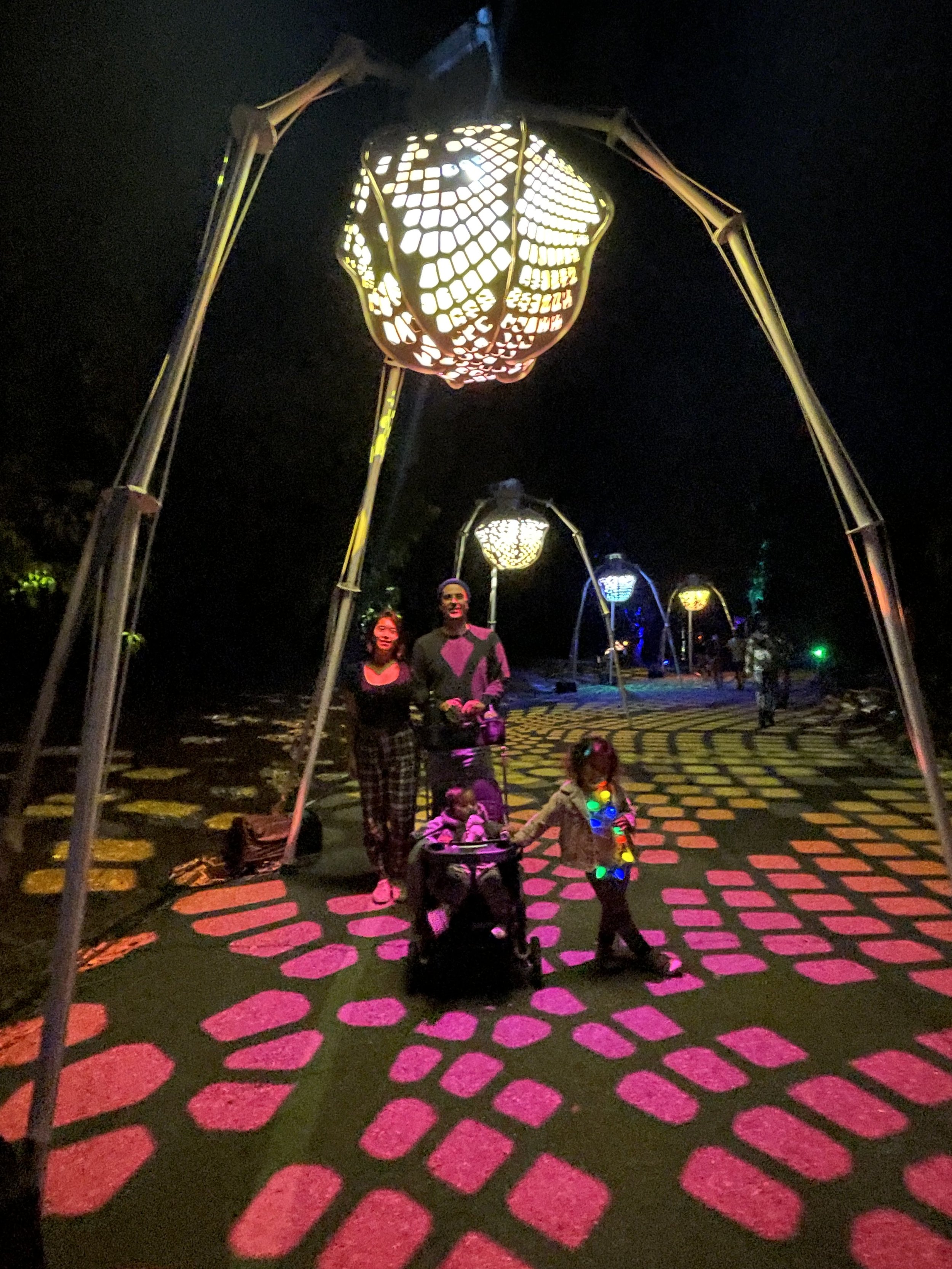 Must See In La Lightscape At The Arboretum — Milowe