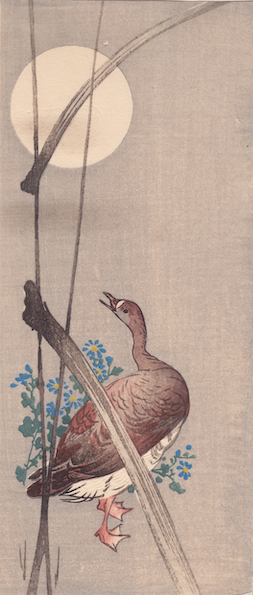 Gallery 3F: Ohara Shoson — The Christenson Collection of Miniature ...