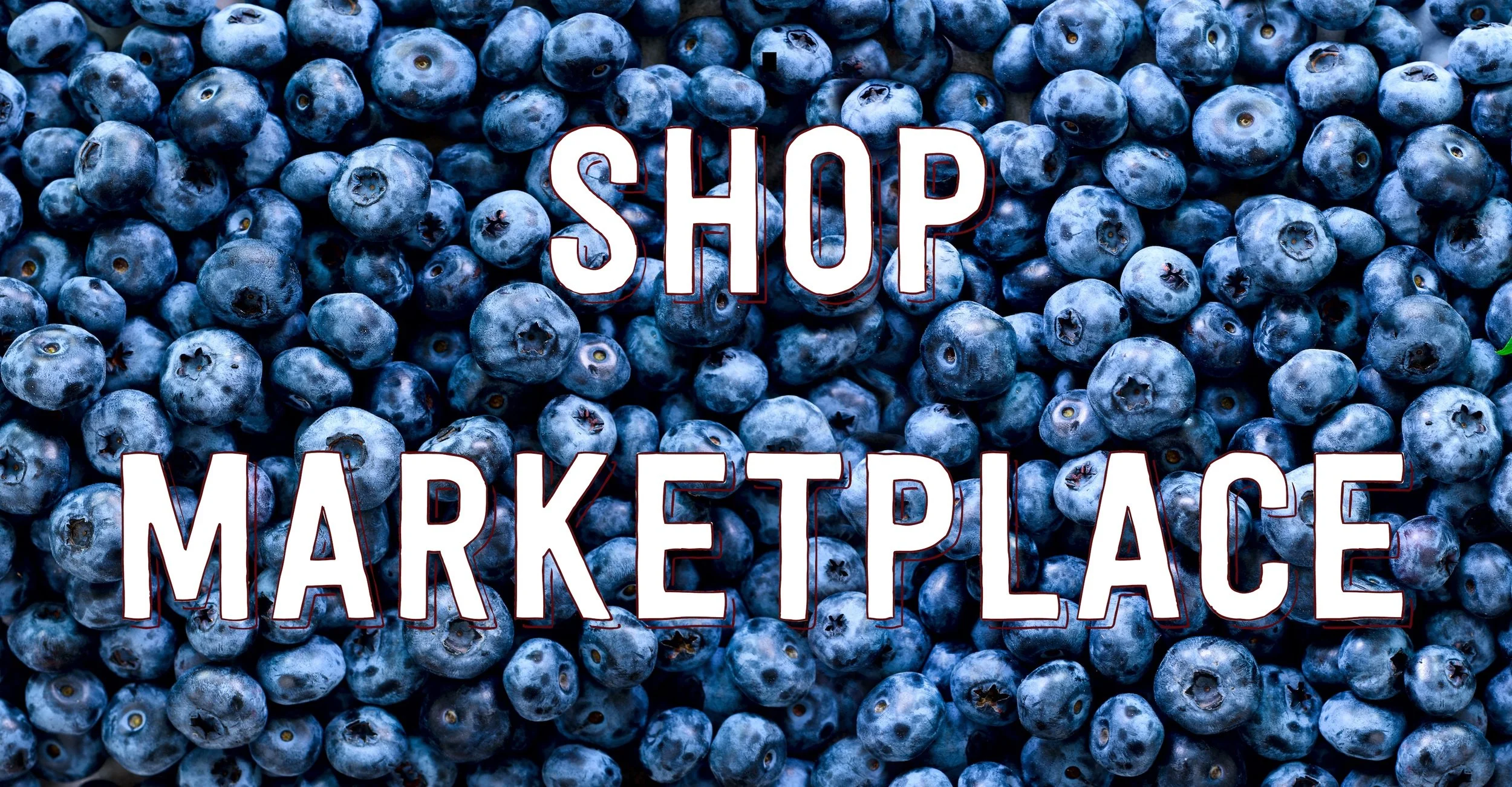 Blueberry Bunch Farm