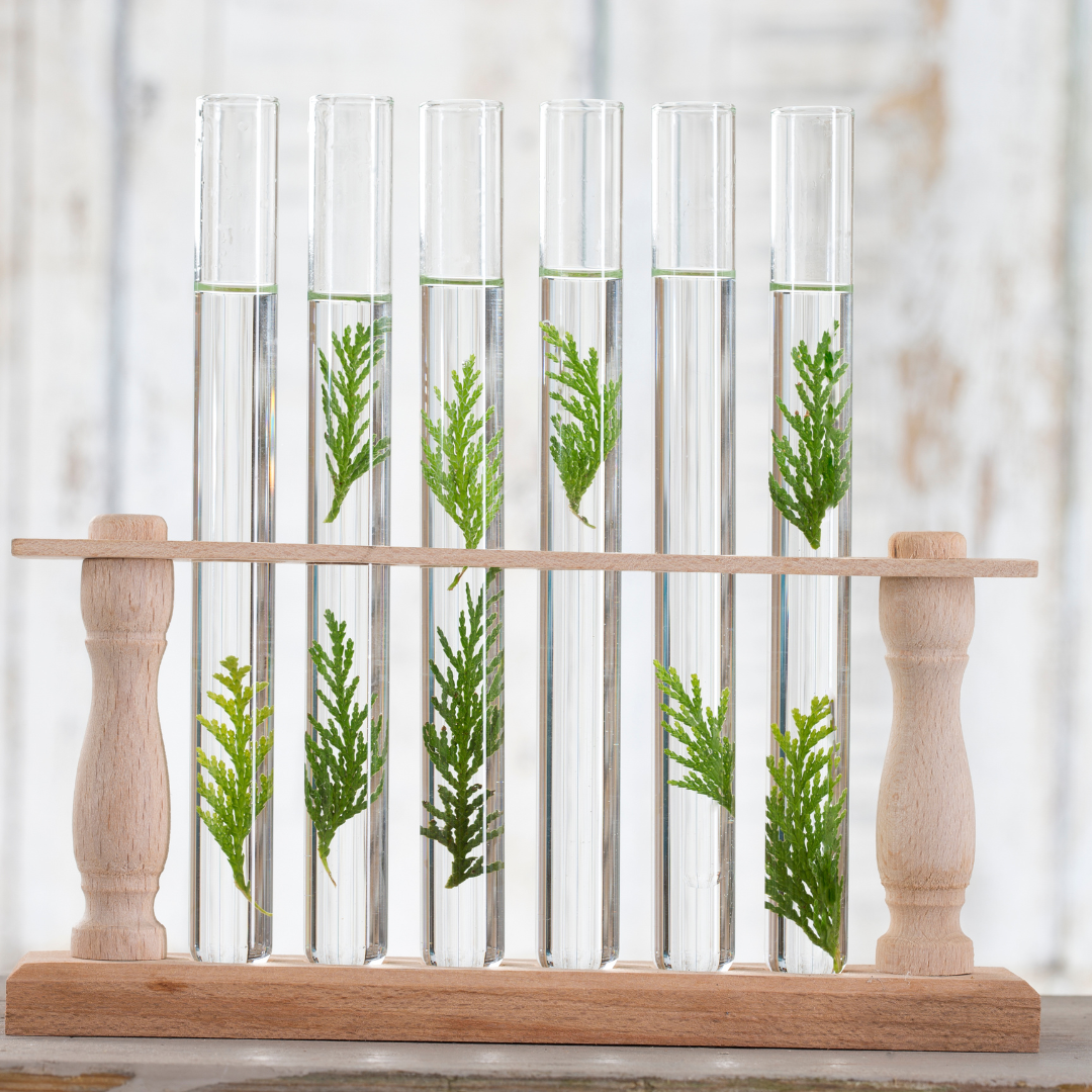 Book Now — Parnell Natural Health