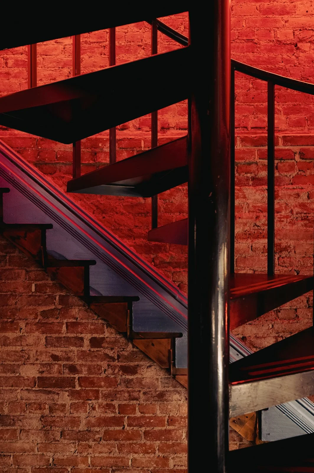 The Klee House — Swan Dive Design Studio