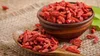 Goji Berry Longevity Syrup | Mind Body Medical