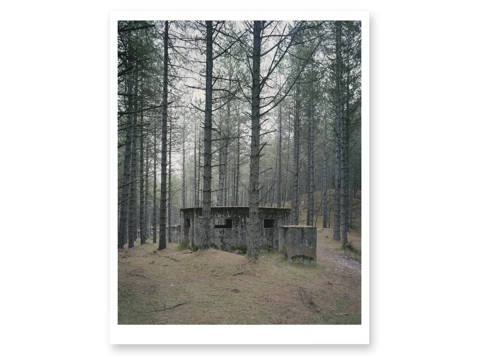 Marc Wilson | Photographer | Buy photobook and prints — Marc Wilson ...