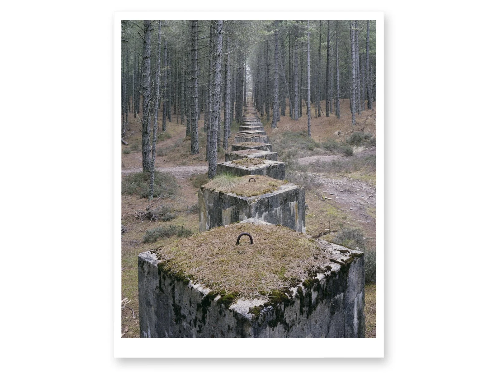 Marc Wilson | Photographer | Buy photobook and prints — Marc Wilson ...