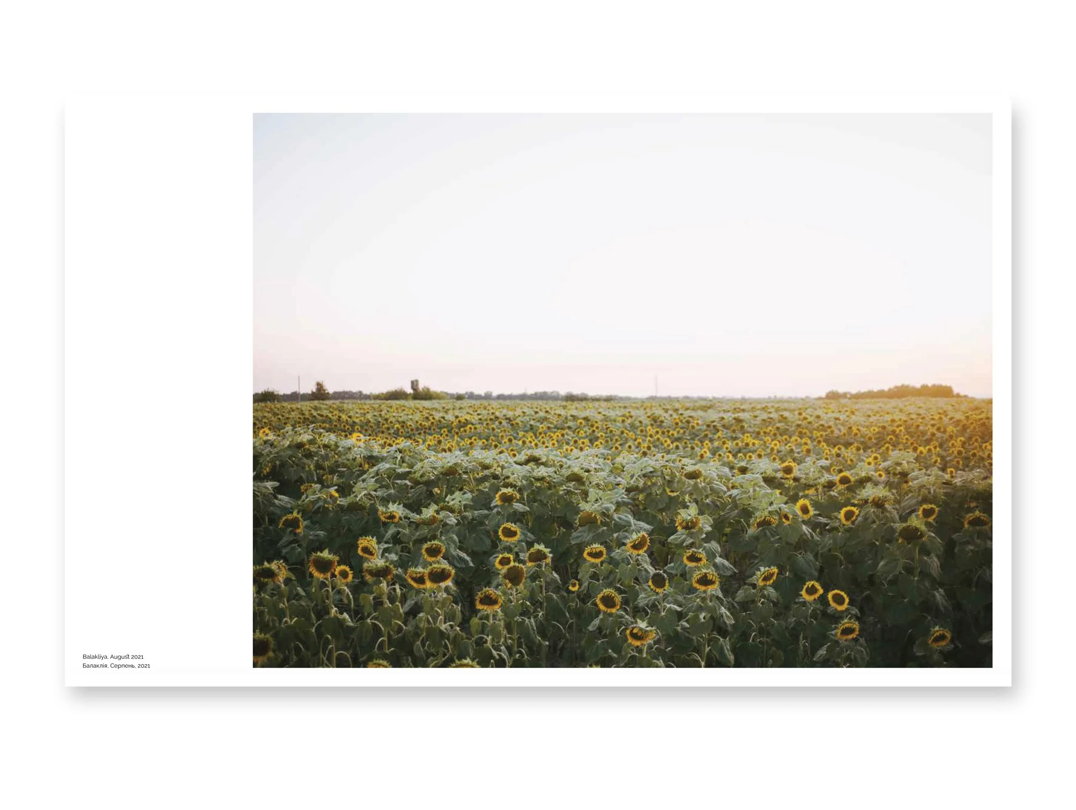 Marc Wilson | Photographer | Buy photobook and prints — Marc Wilson ...