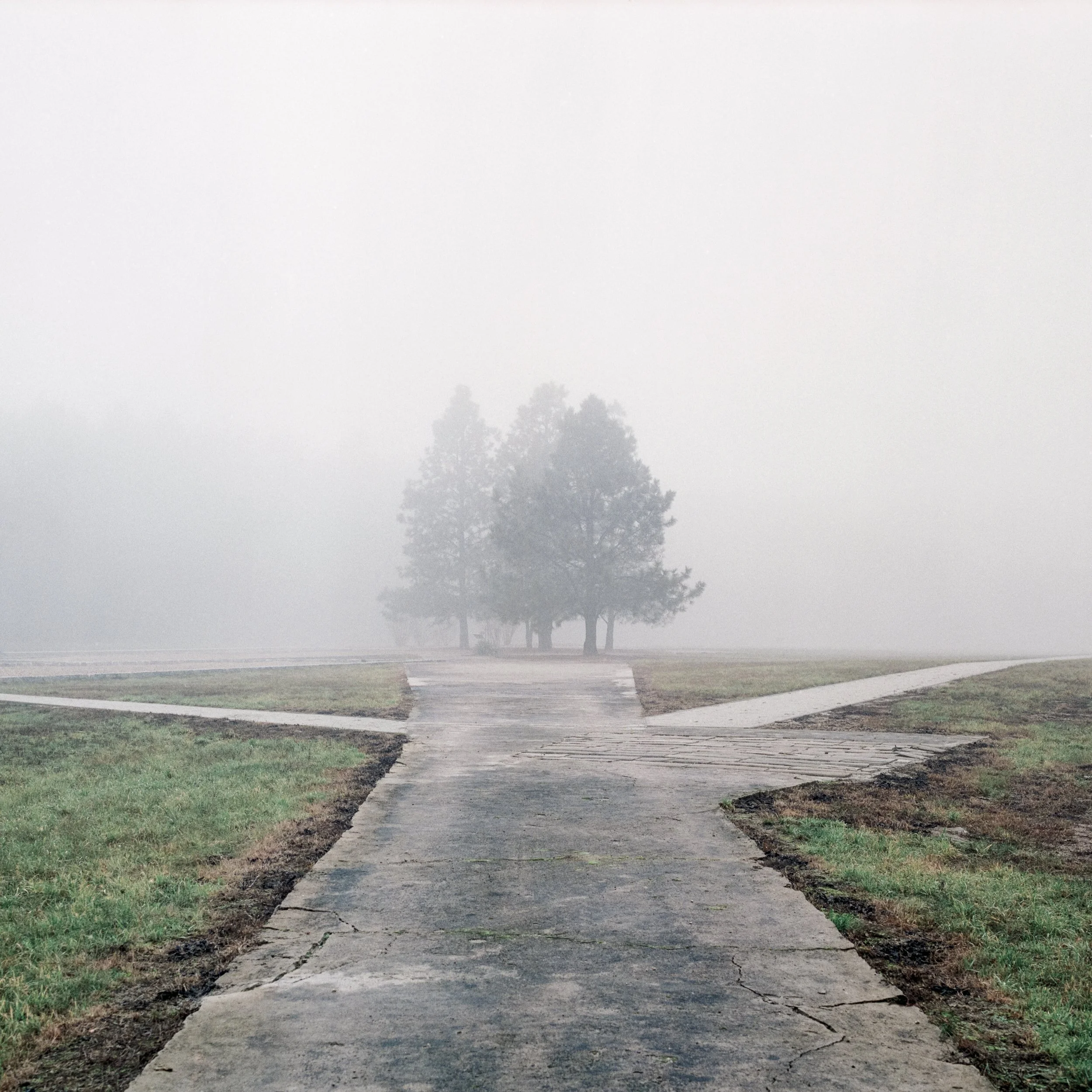 Marc Wilson Photography