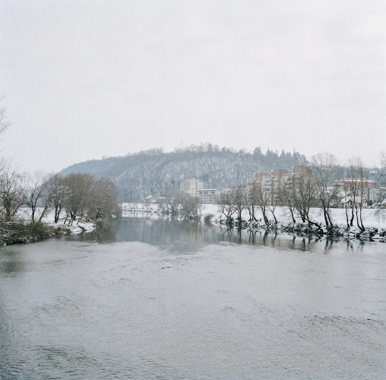 Marc Wilson Photography