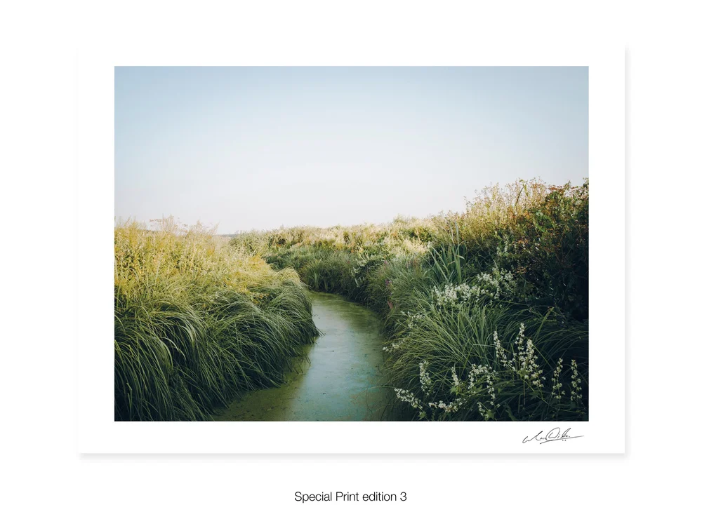 Marc Wilson | Photographer | Buy photobook and prints — Marc Wilson ...
