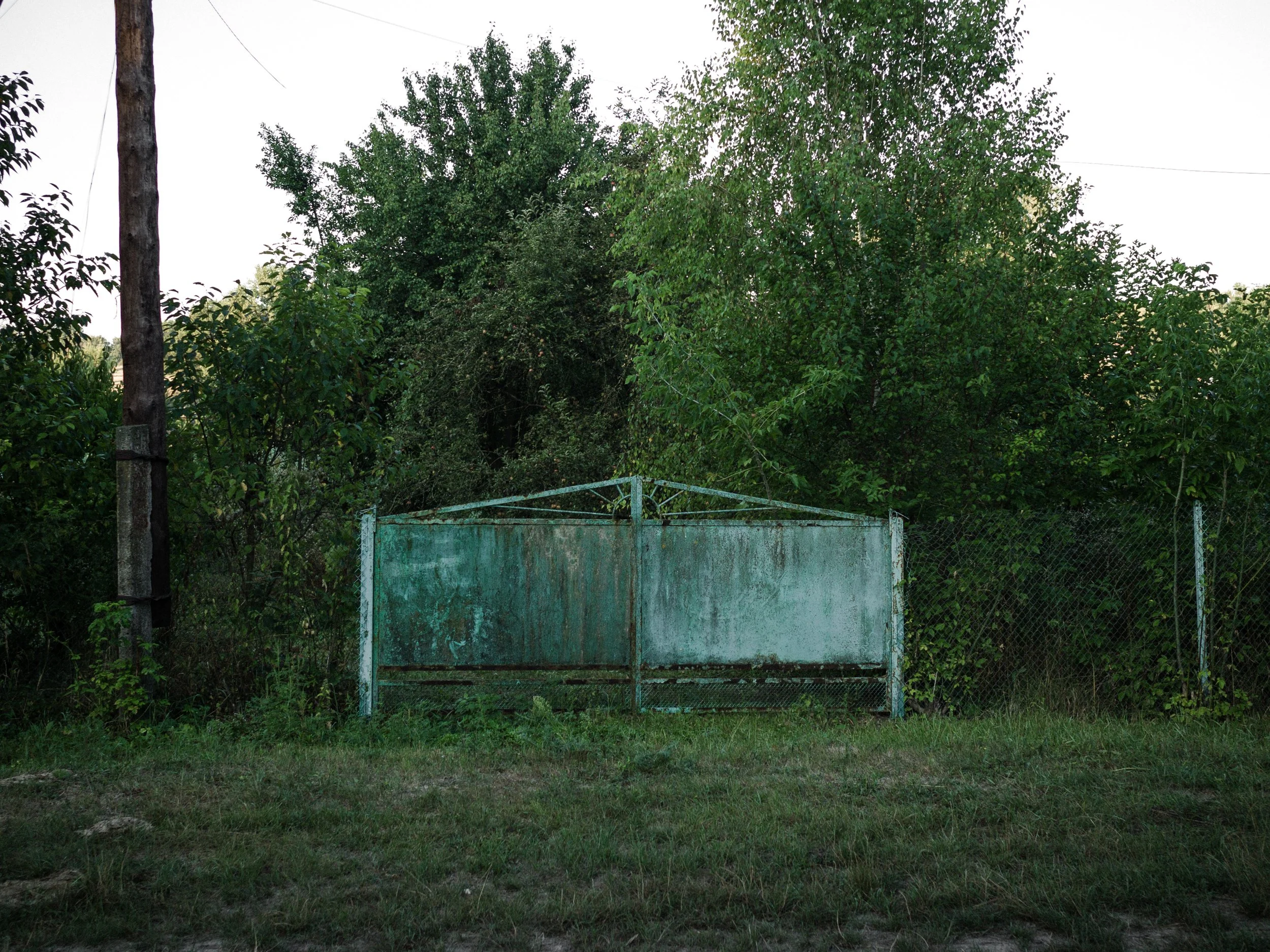 Marc Wilson Photography
