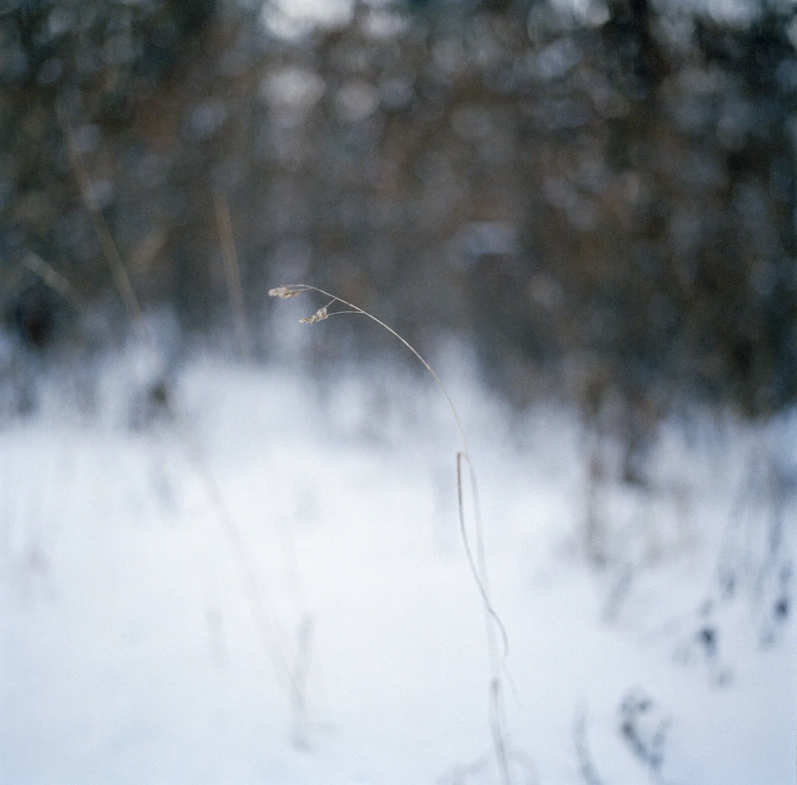 A Wounded Landscape - bearing witness to the Holocaust 2015-2021 — Marc ...