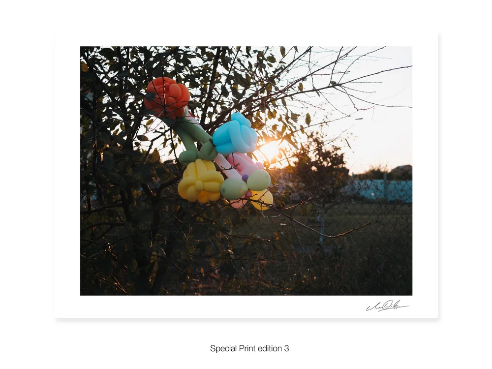Marc Wilson | Photographer | Buy photobook and prints — Marc Wilson ...