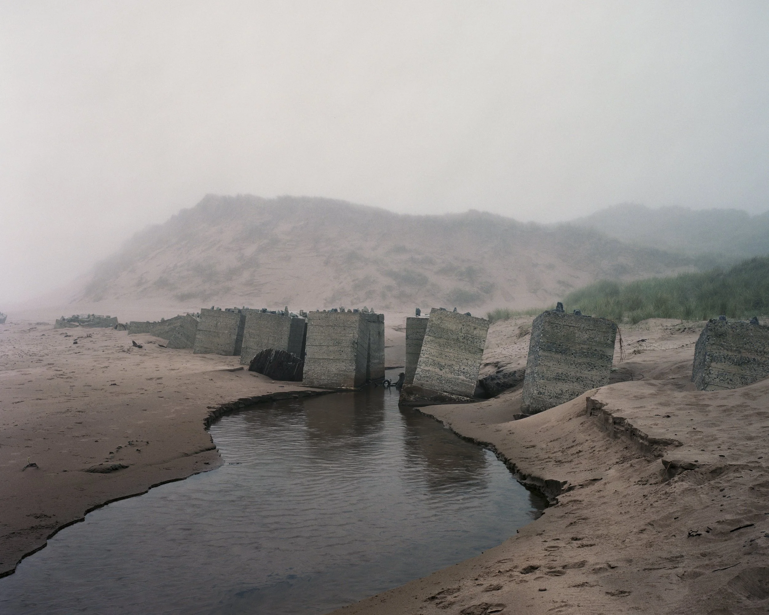 Marc Wilson Photography
