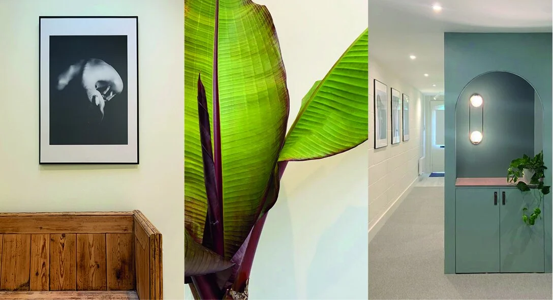 The Spring Rooms Book an appointment — The Spring Rooms Massage Therapy